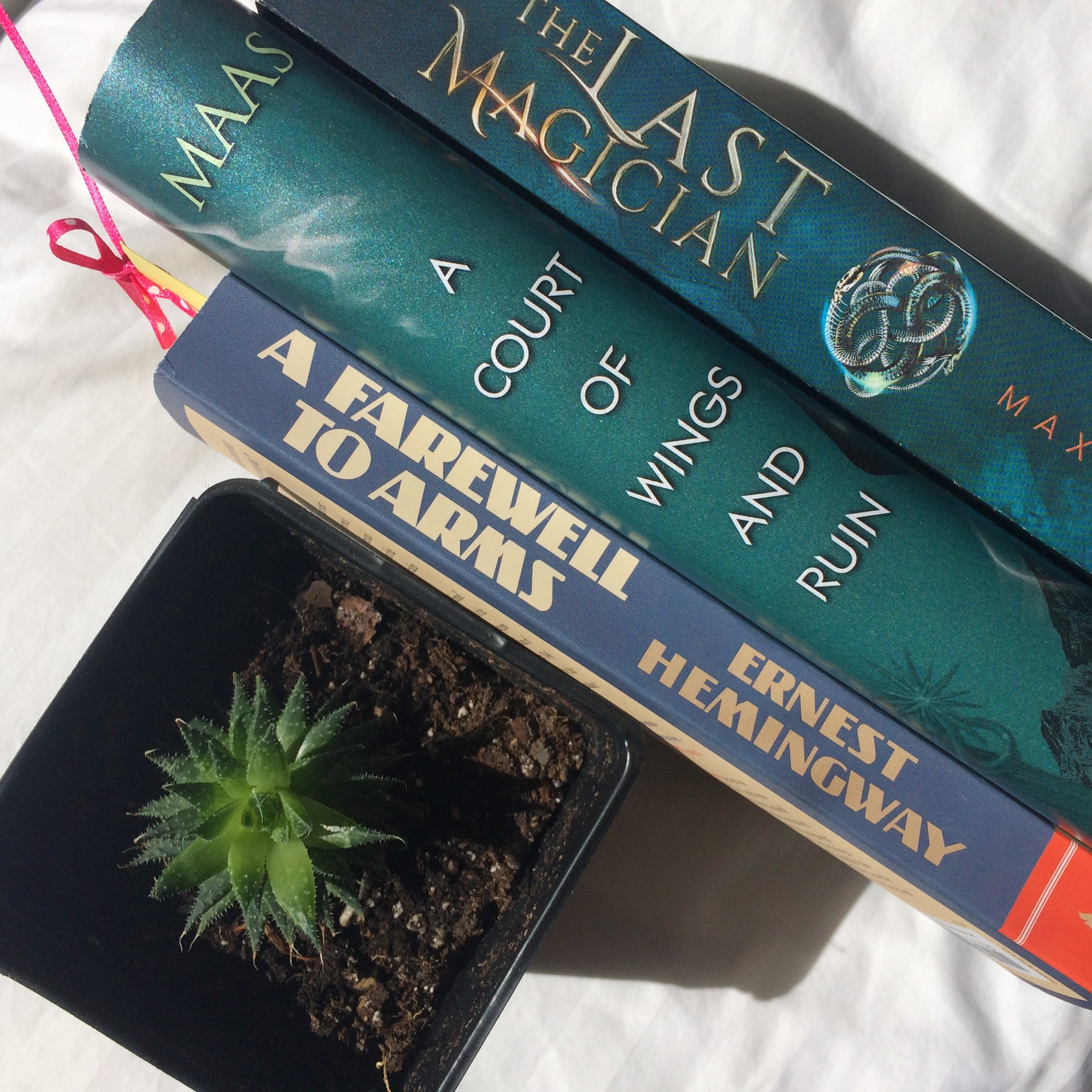 Review: The Last Magician by Lisa Maxwell – Words, Pages, Books